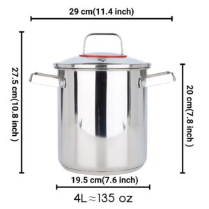 Multi-purpose Pasta and Asparagus Cooker - Stainless Steel Cooking Pot with Strainer and Lid - Durable Kitchen Cookware for Noodles, Spaghetti, Deep Frying - Large Capacity, Dishwasher Safe