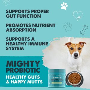 Mighty Paw Waggables Probiotic Chews for Dogs (Made in USA) | Dog Probiotics & Digestive Enzymes. Bacon Flavor Probiotics for Dogs Digestive Health. Prebiotics, Probiotics for Dogs Gut Health (120 Ct)