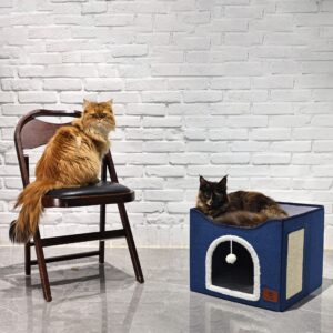 Elevon Cat Beds for Indoor Cats, Foldable Cat House Suitable for All Seasons, Cat Cube Apartment with Cat Scratch Board and Reversible Cushion, Suitable for Multi Small Pet Under 20 lbs, Blue