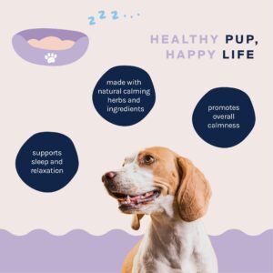 Dog Calming Treats with Natural Ingredients, cGMP-Certified & Made in The USA - Calm Chews for Dogs That Ease Anxiety and Stress, Human-Grade Calm Dog Treats, 30 Chews - Good Trouble Pets