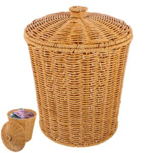 pretyzoom small wicker waster basket, imitation rattan basket with lid bohemia wicker storage basket space saving small trash can for bathroom office (23x23x28cm)