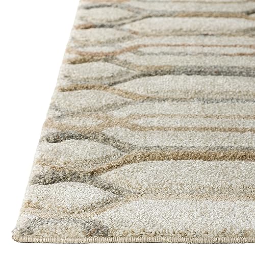 DALYN RUG Carmona CO7 Linen 8' x 10' Rectangle Soft Area Rug, Easy Clean, Non Shedding, Bedroom, Entry, Living Room, Dining Room, Kitchen Rug