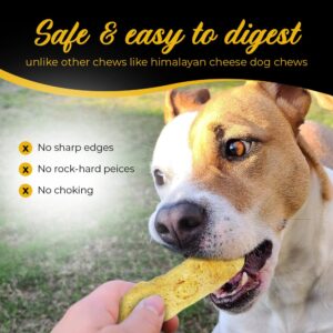 Cheesy100 Probiotic Cheese Dog Chews|US-Crafted for Puppies & Medium Dogs| 6oz (3pcs)|Natural Alternative to Himalayan Dog Chews & Yak Chews|Salt-Free|Tastier Than Yak Cheese Himalayan Dog Chews