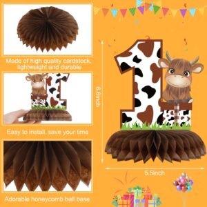 Qilery 10 Pcs Holy Cow First Birthday Decorations, Cow First Birthday Honeycomb Centerpiece Party Supplies for Boy Girl, Baby 1st Birthday Farm Cow Table Toppers Sign Decor