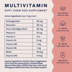 Good Trouble Pets Complete Care Dog Multivitamin, Ashwagandha, Biotin, Yucca, Glucosamine Chondroitin, Probiotics, Omega Fish Oil - Dog Supplements & Vitamins for Joint, Heart, and Immune Health