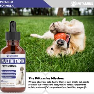 Multivitamin for Dogs | Dog Multivitamin | For Joint Support, Gut & Immune Health, Skin & Heart Health | Dog Vitamins and Supplements | Dog Vitamins Multivitamin | Dog Supplements & Vitamins | 1 fl oz