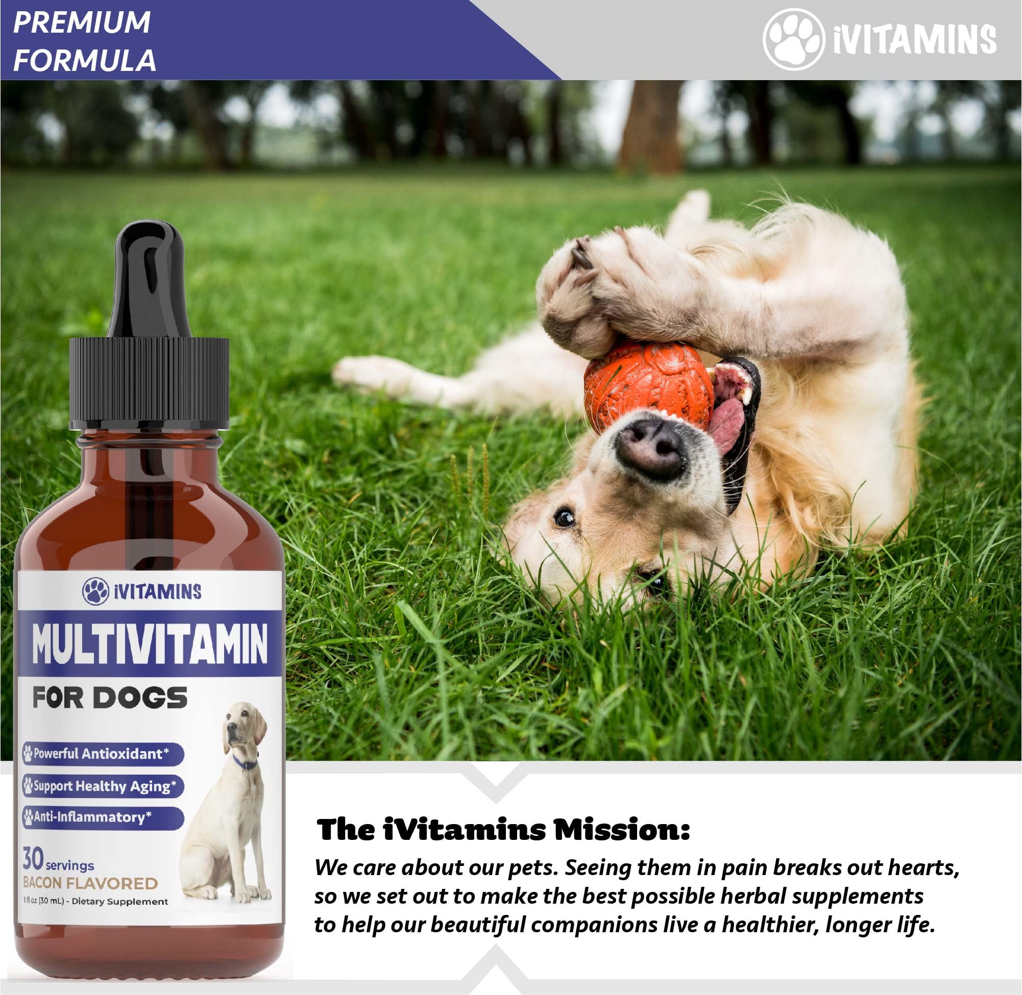 Multivitamin for Dogs | Dog Multivitamin | For Joint Support, Gut & Immune Health, Skin & Heart Health | Dog Vitamins and Supplements | Dog Vitamins Multivitamin | Dog Supplements & Vitamins | 1 fl oz