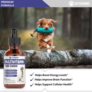 Multivitamin for Dogs | Dog Multivitamin | For Joint Support, Gut & Immune Health, Skin & Heart Health | Dog Vitamins and Supplements | Dog Vitamins Multivitamin | Dog Supplements & Vitamins | 1 fl oz