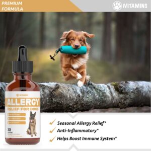 Natural Dog Allergy Relief - Helps to Naturally Support Allergy & Itch Relief for Dogs - Allergy Relief for Dogs Itching - Itch Relief for Dogs - Dog Itch Relief - Dog Allergy Support - 1 fl oz (Dogs)