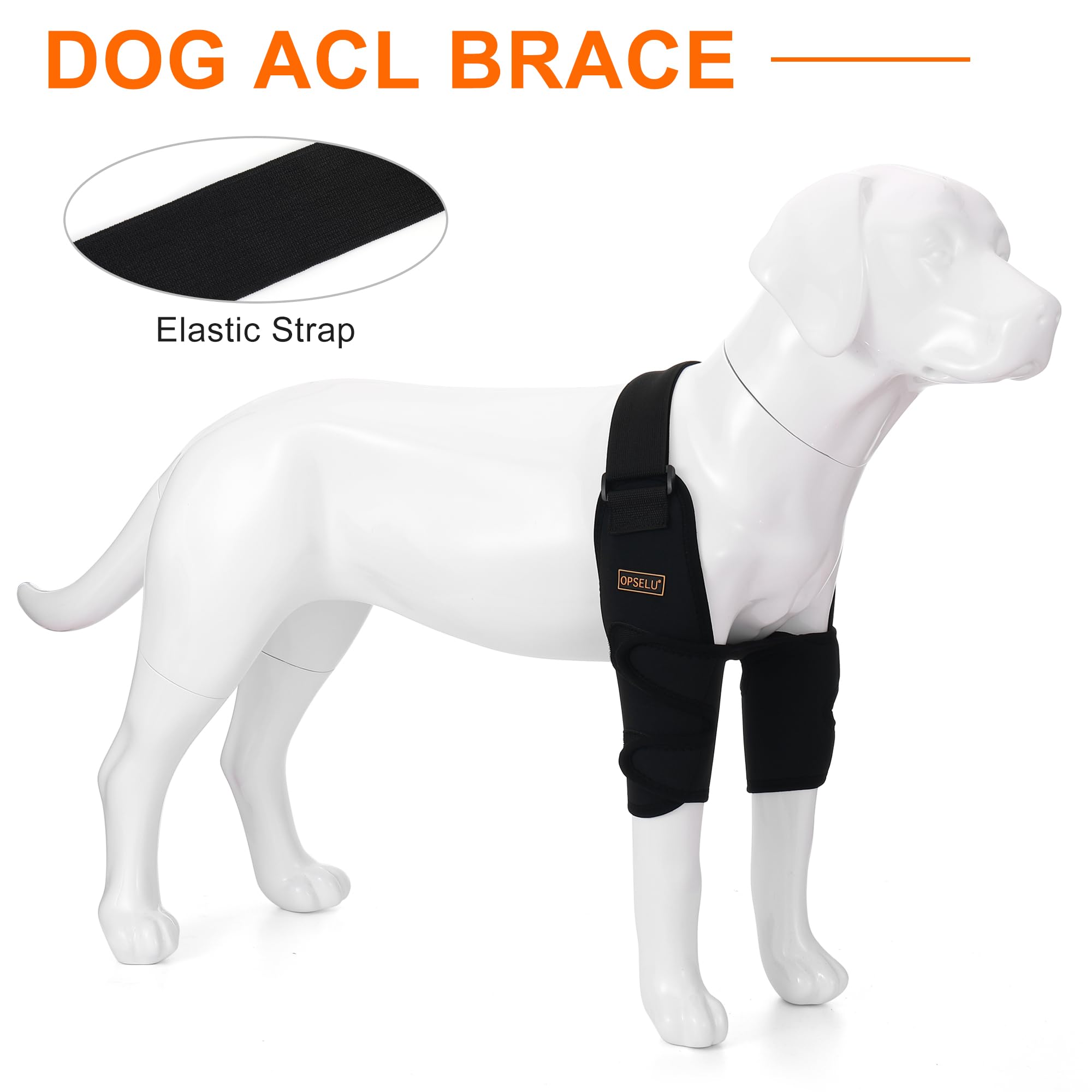 OPSELU Dog Elbow Protector,Adjustable Straps Dog Shoulder Brace,Lightweight Dog Front Leg Brace for Shoulder Dislocation, Pressure Sores,Elbow Injury and Loss of Stability from Arthritis(Both Legs,S)