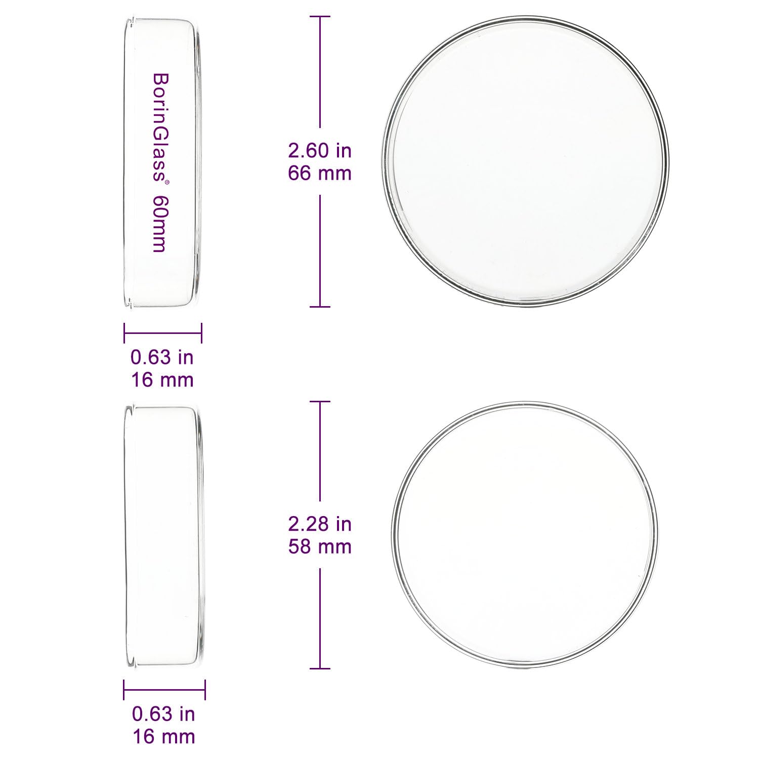 BorinGlass Glass Petri Dishes, Autoclavable Glass Cell Culture Dishes Lab Dishes with Clear Lid, 60x15 mm, Pack of 10