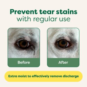 Earth Rated Pet Eye Wipes, Hypoallergenic Eye Wipes for Dogs & Cats to Prevent Tear Stains & Eye Discharge, Fragrance Free, 70 Count