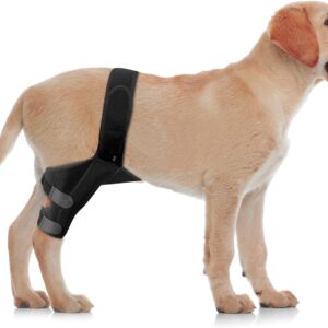 JUANWAN Dog Knee Brace Leg Braces - Dog Canine Knee Stifle Brace Wrap Dog Knee Brace for Torn ACL Hind Leg Joint Pain Muscle Sore Pet Brace Reduces Pain and Inflammation (M)