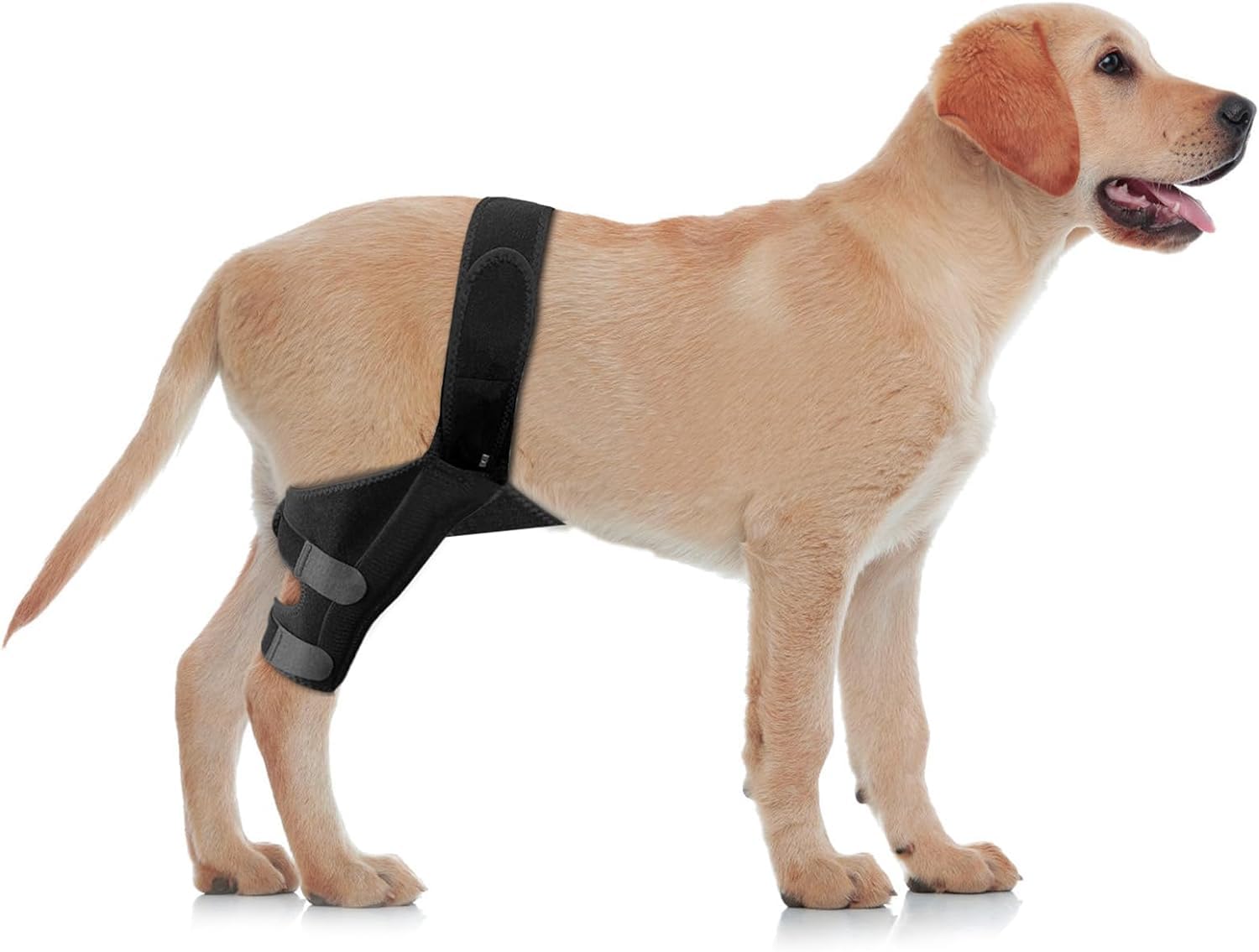 JUANWAN Dog Knee Brace Leg Braces - Dog Canine Knee Stifle Brace Wrap Dog Knee Brace for Torn ACL Hind Leg Joint Pain Muscle Sore Pet Brace Reduces Pain and Inflammation (M)