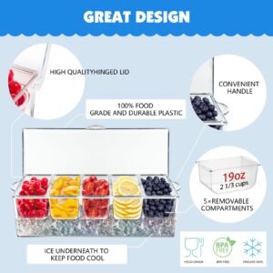 MHEOMTME Chilled Condiment Server Tray, Bar Fruit Caddy with Lid and 5 Removable Compartments, Clear Ice Condiment Serving Tray for Party, Toppings Bar Container, Garnish