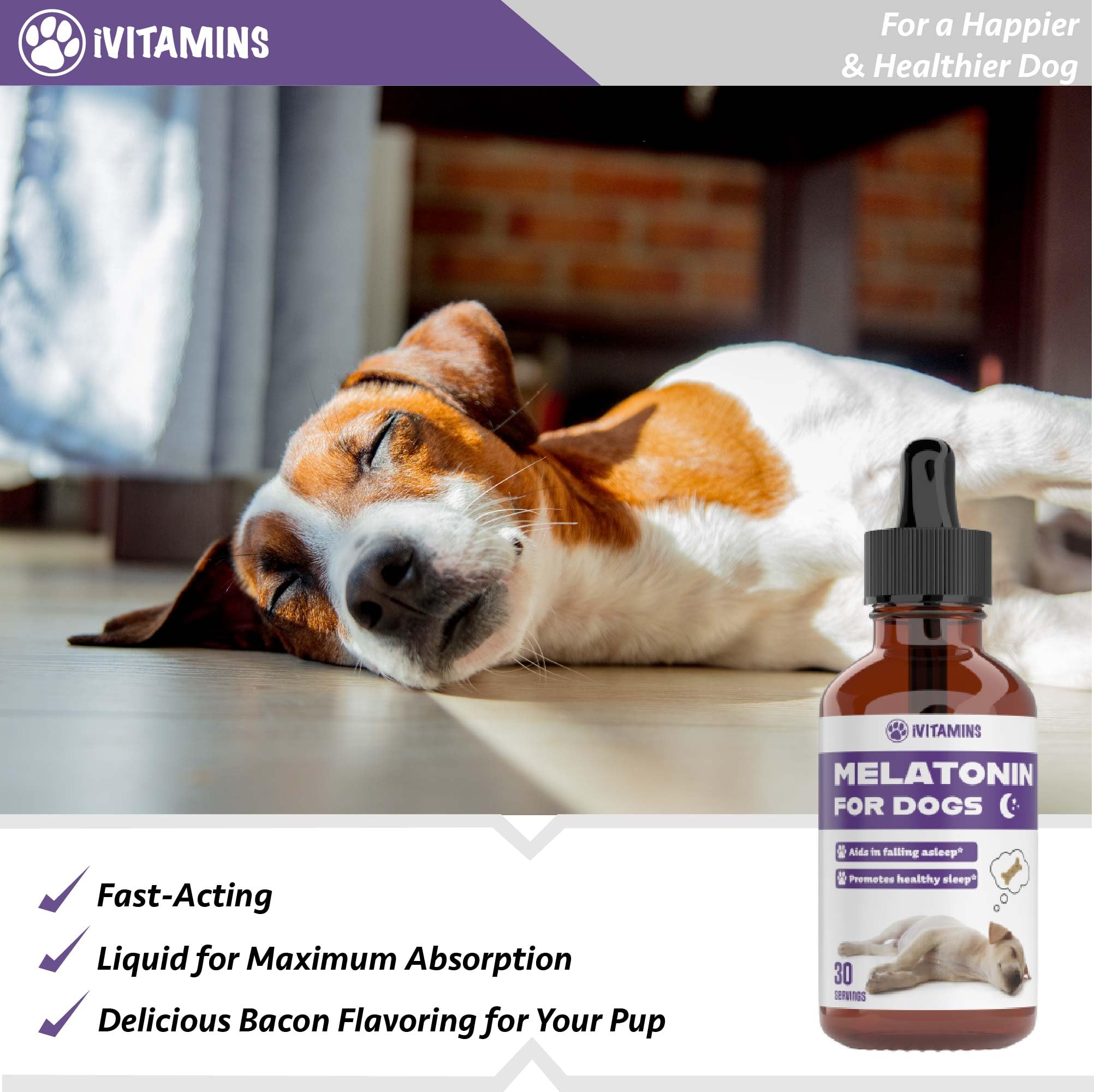 Melatonin for Dogs | Dog Melatonin | Melatonin for Dogs Sleep | Sleep Aid for Dogs | Dog Sleep Aid | Dog Calming | Calming for Dogs | Dog Calming Treats | Dog Anxiety Relief | (1)