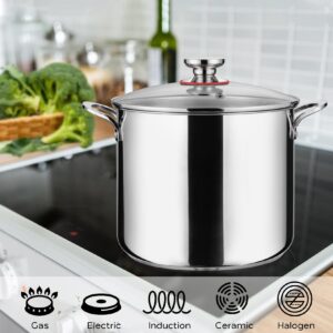 Onader 12 Quart Stock Pot 18/10 Stainless Steel Cooking Pot with Lid Large Soup Pot