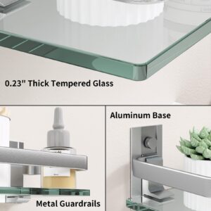 Danpoo Clear Tempered Glass Wall Shelf, Wall-Mounted Organizer for Bathroom, Kitchen(Matte Silver)