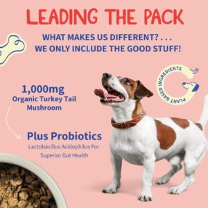 Turkey Tail Mushroom for Dogs - Turkey Tail Mushroom Powder for Dogs Guards Against Lumps & Bumps - Dog Turkey Tail Supplement - Turkey Tail for Dogs Supports Dog Gut Health Probiotics & Turkey Tail