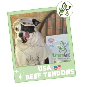 Nature Gnaws USA Beef Tendons for Dogs (8oz) - Mixed Thickness - Long Lasting for Aggressive Chewers - Premium Natural Beef Dog Chew Treats - Rawhide Free