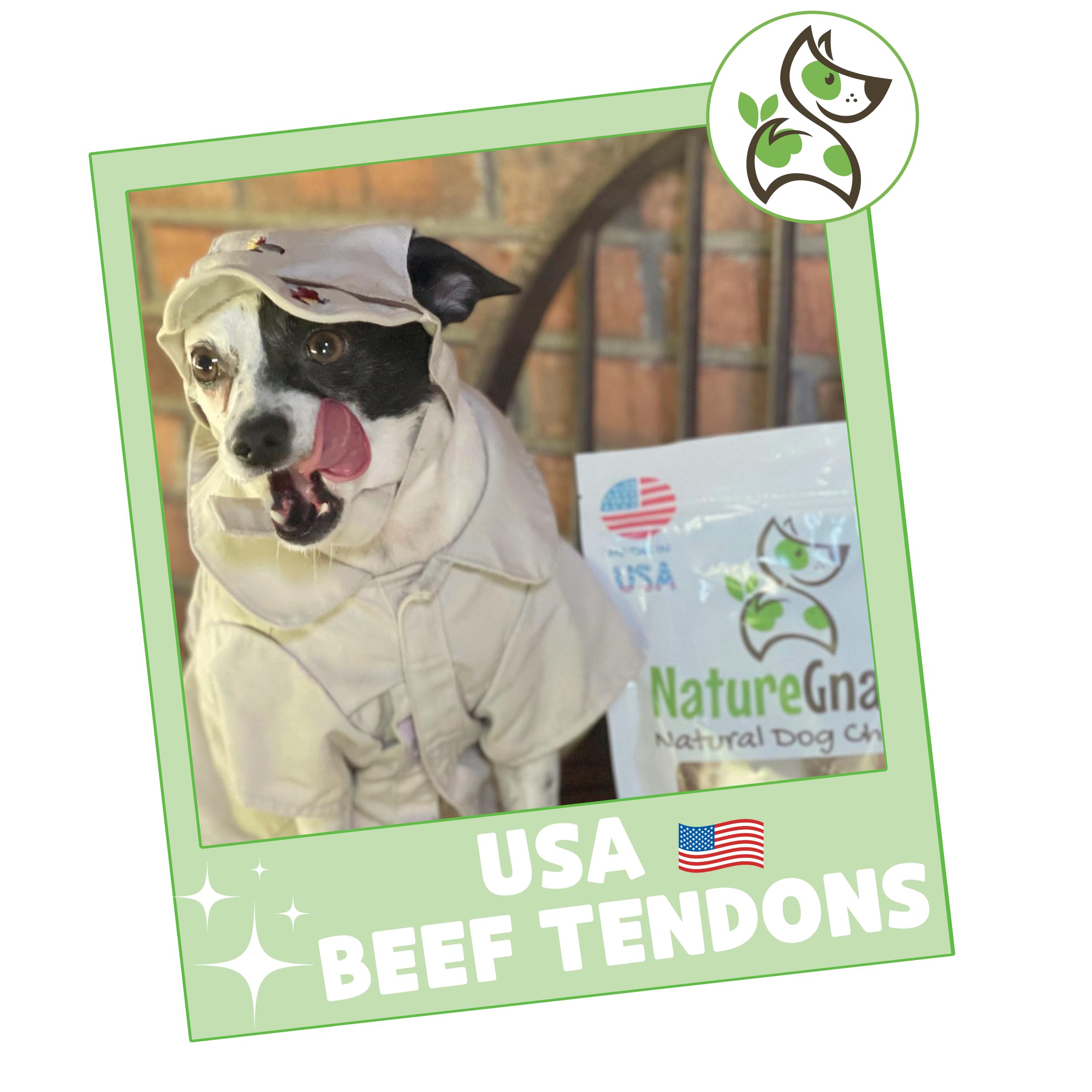 Nature Gnaws USA Beef Tendons for Dogs (8oz) - Mixed Thickness - Long Lasting for Aggressive Chewers - Premium Natural Beef Dog Chew Treats - Rawhide Free