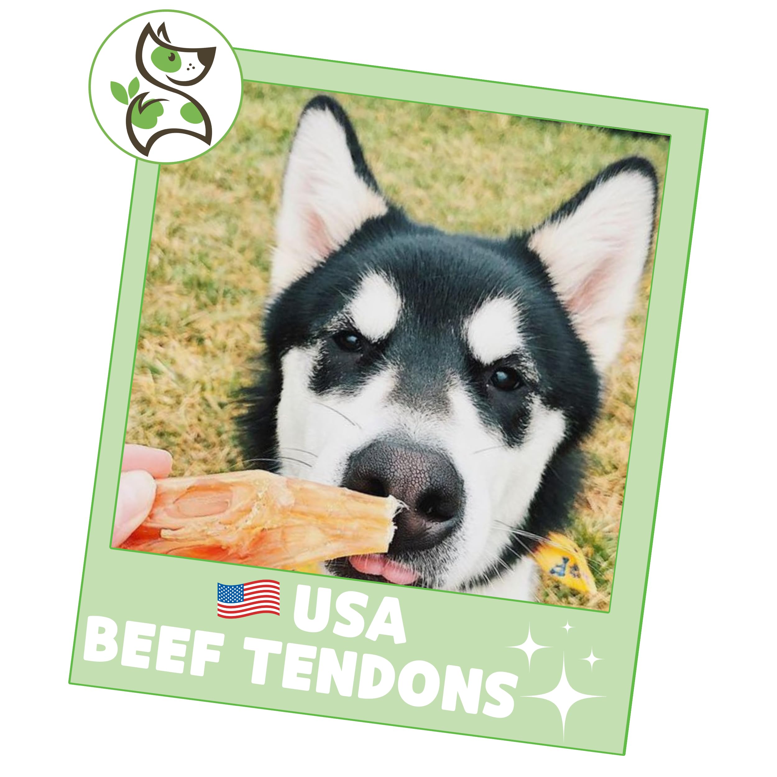 Nature Gnaws USA Beef Tendons for Dogs (8oz) - Mixed Thickness - Long Lasting for Aggressive Chewers - Premium Natural Beef Dog Chew Treats - Rawhide Free