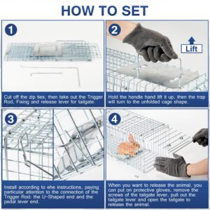 Humane Rat Trap Cage Live Rat Traps Humane Cat Traps Catch Release Live Animal Rodent Cage Collapsible Galvanized Wire for Rabbit Small Groundhogs Squirrel Mole Gopher Mice Chipmunk-24X8X7.2In