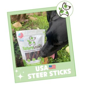 Nature Gnaws USA Steer Sticks for Dogs 5-7" (8oz) - Mixed Thickness - Long Lasting for Aggressive Chewers and Large Dogs - Natural Beef Bully Dog Chew Bones