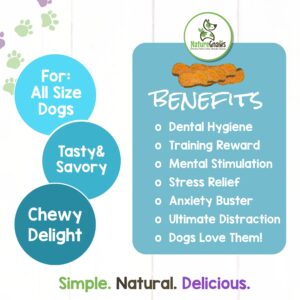 Nature Gnaws Sweet Potato Chips for Dogs - Single Ingredient Natural Dog Chew Treats - 12 oz