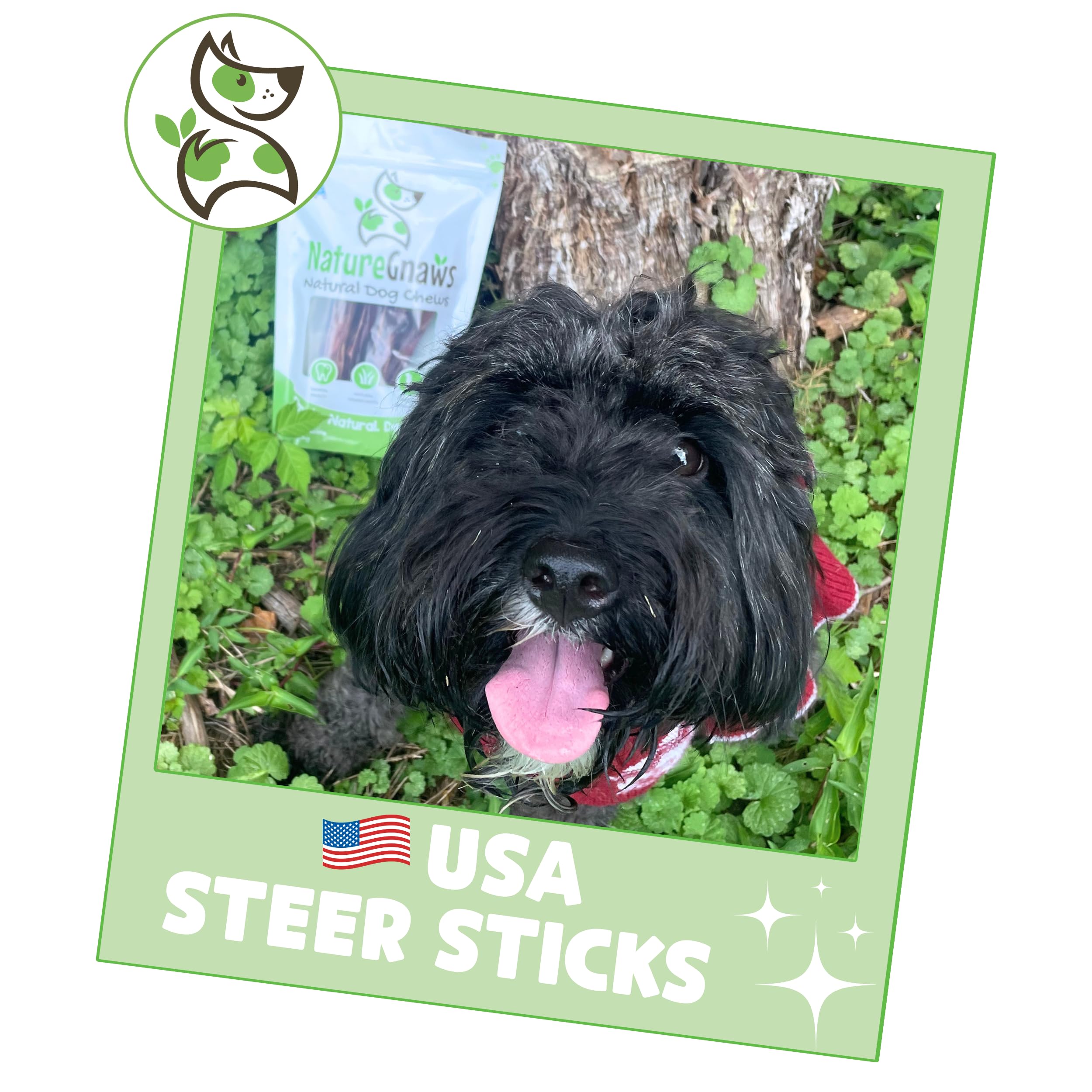 Nature Gnaws USA Steer Sticks for Dogs 5-7" (8oz) - Mixed Thickness - Long Lasting for Aggressive Chewers and Large Dogs - Natural Beef Bully Dog Chew Bones