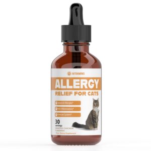 allergy relief for cats | helps to naturally support allergy & itch relief for cats | cat allergy | cat itch relief | cat itchy skin relief | cat allergy relief for cats | cat supplements & vitamins