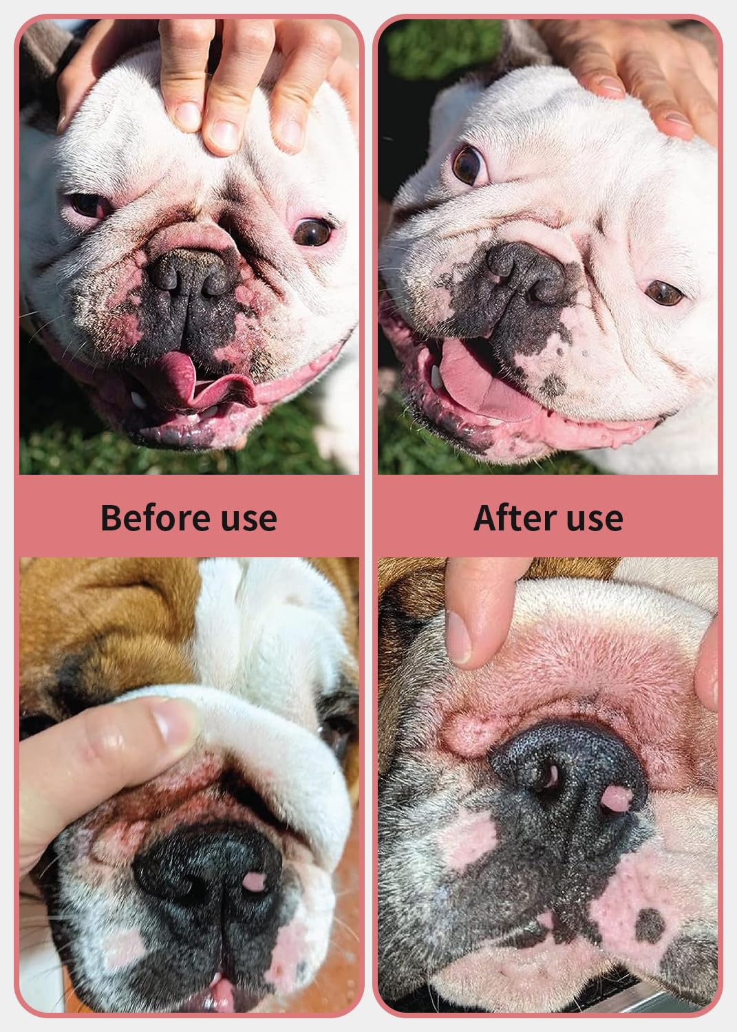 GJYC PET Wrinkle Wipes + Wrinkle Balm for Dogs | Bulldog, French Bulldog, Pug, English Bulldog | Cleans & Soothes Wrinkles, Folds, Tear Stain, Tail Pockets & Paws