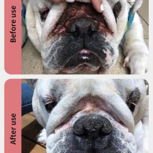 GJYC PET Wrinkle Wipes + Wrinkle Balm for Dogs | Bulldog, French Bulldog, Pug, English Bulldog | Cleans & Soothes Wrinkles, Folds, Tear Stain, Tail Pockets & Paws