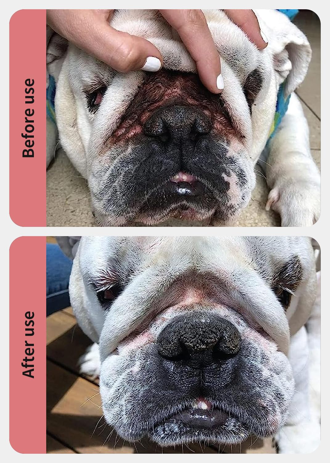 GJYC PET Wrinkle Wipes + Wrinkle Balm for Dogs | Bulldog, French Bulldog, Pug, English Bulldog | Cleans & Soothes Wrinkles, Folds, Tear Stain, Tail Pockets & Paws