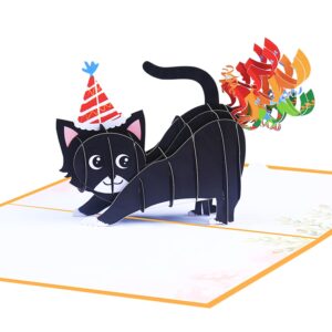 robbear funny cat pop up birthday card, funny 3d birthday cards for adults and kids with envelopes, handmade gifts for cat mom, dad, friend and every cat lover