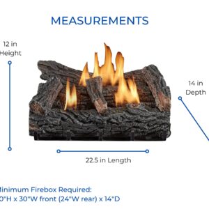 Duluth Forge 22" Ventless Dual Fuel Gas Log Set - 32,000 BTU, Thermostat Control, Natural Gas/Propane, Hand-Painted Winter Oak, Realistic Ceramic Logs, Oxygen Depletion Sensor, 99.9% Efficient