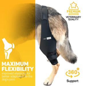 RadHaven Dog Knee Brace for Torn ACL Hind Leg, Cruciate Ligament Injuries, Patella Dislocation, Double Straps and Comfortable Dog Leg Braces for Back Leg Support (Right- Large)