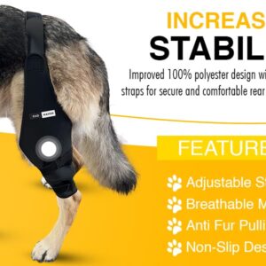 RadHaven Dog Knee Brace for Torn ACL Hind Leg, Cruciate Ligament Injuries, Patella Dislocation, Double Straps and Comfortable Dog Leg Braces for Back Leg Support (Right- Large)