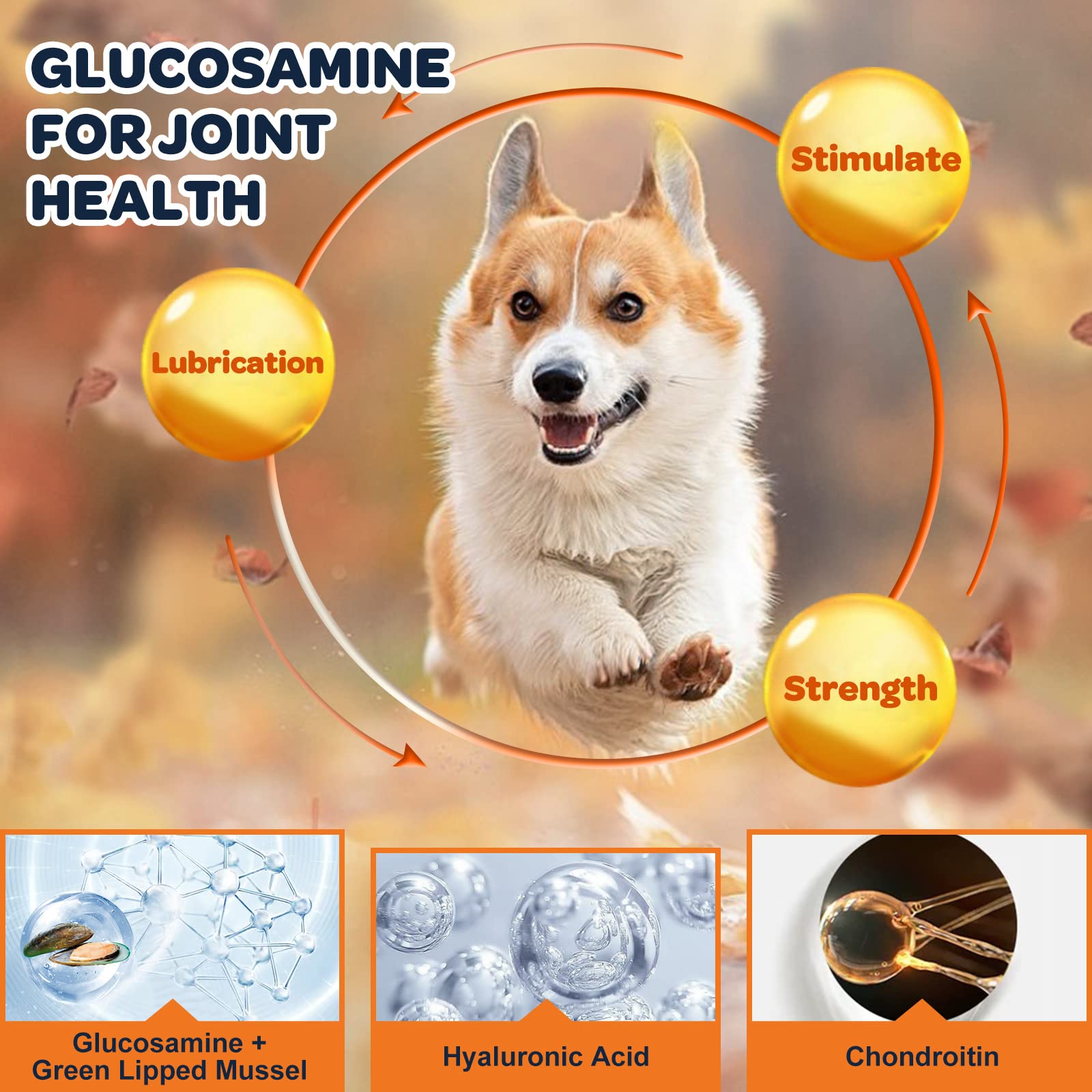 Dog Vitamins Powder, Probiotics & Digestive Enzymes for Gut Health, Glucosamine & Chondroitin & Omega 3, Complete Supplement for Homemade Dog Food, Joint & Skin & Immune Support, Dog Allergy Relief