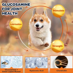 Glucosamine for Dogs, Hip and Joint Supplement，Probiotics for Dogs, 6 Billion CFUs, Freeze Dried Dog Probiotics with Prebiotics and Digestive Enzymes