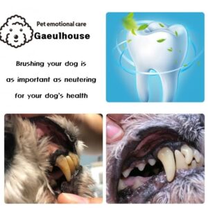 Gaeulhouse Tiny Small and Medium Dog Toothbrush Made in Korea Toothbrush Bristles That are Soft and Do Not Irritate Your Dog’s Gums Small Toothbrush Grip and Excellent Tartar Removal (4pcs)