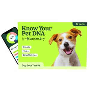 ancestrydna know your pet dna: dog dna breed identification test, genetic traits, dna matches, dog dna test, dog breed dna kit, easy-to-use pet dna test