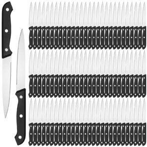 lasnten 100 pcs 8.78 inches stainless steel steak knives set pointed tip steak knives plastic handle kitchen steak knife for restaurant tableware camping wedding party, black