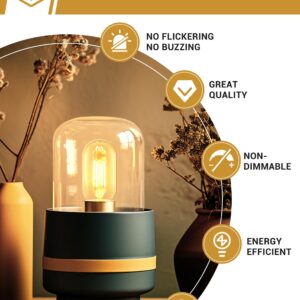 4 Pack LED Edison Bulbs, 4W Edison Light Bulbs, Antique LED Filament Bulbs 40W Equivalent, E26 Base, T45 LED Bulb with Clear Glass, Warm White 2700K, Non Dimmable, Great for Home, Bedroom, Office