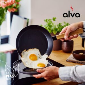 Alva Forest Nonstick Carbon Steel Frying Pan Skillet Pre-Seasoned Non Toxic 9.5" PFAS, PFOA & PFTE Free, for Cooking Pan Set, Induction Safe, Add to Your Pots and Pans Set Cookware