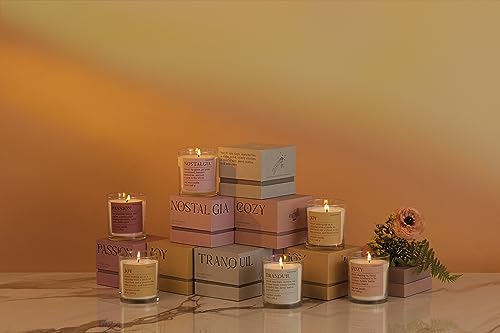 Paddywax Scented Candles Mood Collection Fragrant Boxed Candle in Glass Vessel, 8-Ounce, Cozy