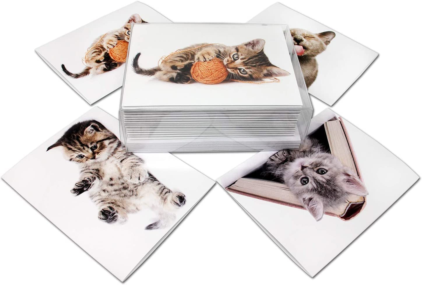 Small World Greetings Playful Kitten Cards 12 Count - Blank Inside with Envelopes - A2 Size (5.5”x4.25”) - Cat Stationery - All Occasion, Thank You, Birthday, and More