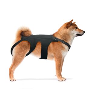 neoally dog back brace for dogs arthritis, ivdd, spinal surgical recovery, and back disease prevention (extra large)