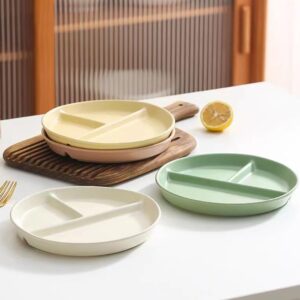 RUIBOLU Unbreakable Divided Plates 5PCS for Kids Adults, Compartment Plates, Lightweight Reusable Dinnerware Portion Control Plastic Plates (5Pack- 9IN)