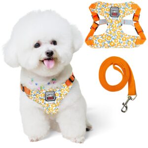 howwfaly soft mesh dog harness and leash set,reflective breathable lightweight easy walk escape proof vest harnesses with safety buckle for small medium dogs cats (orange, m)